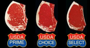 牛肉分級怎麼分？A5、Prime、Choice 一次搞懂